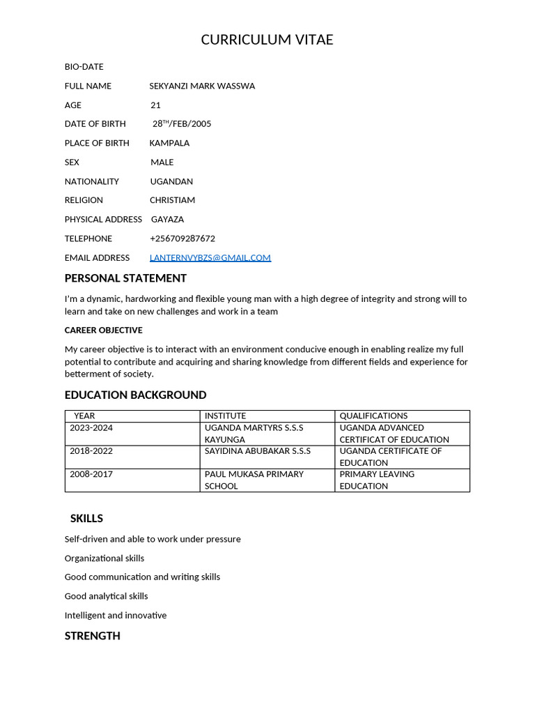 Curriculum Vitae: Personal Statement | PDF