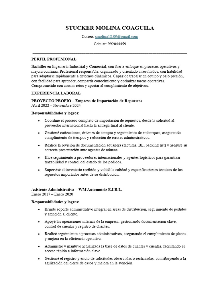 Stucker Molina Coaguila Curriculum | PDF | Logística | Business