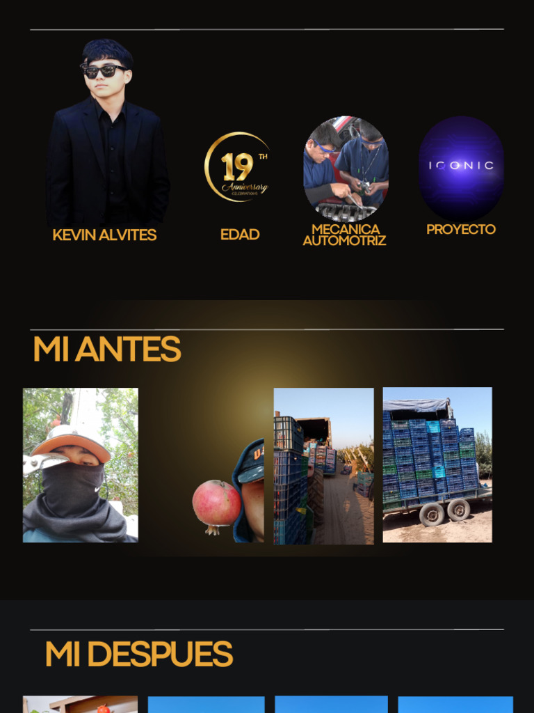 Iqonic y La Planificacion | PDF