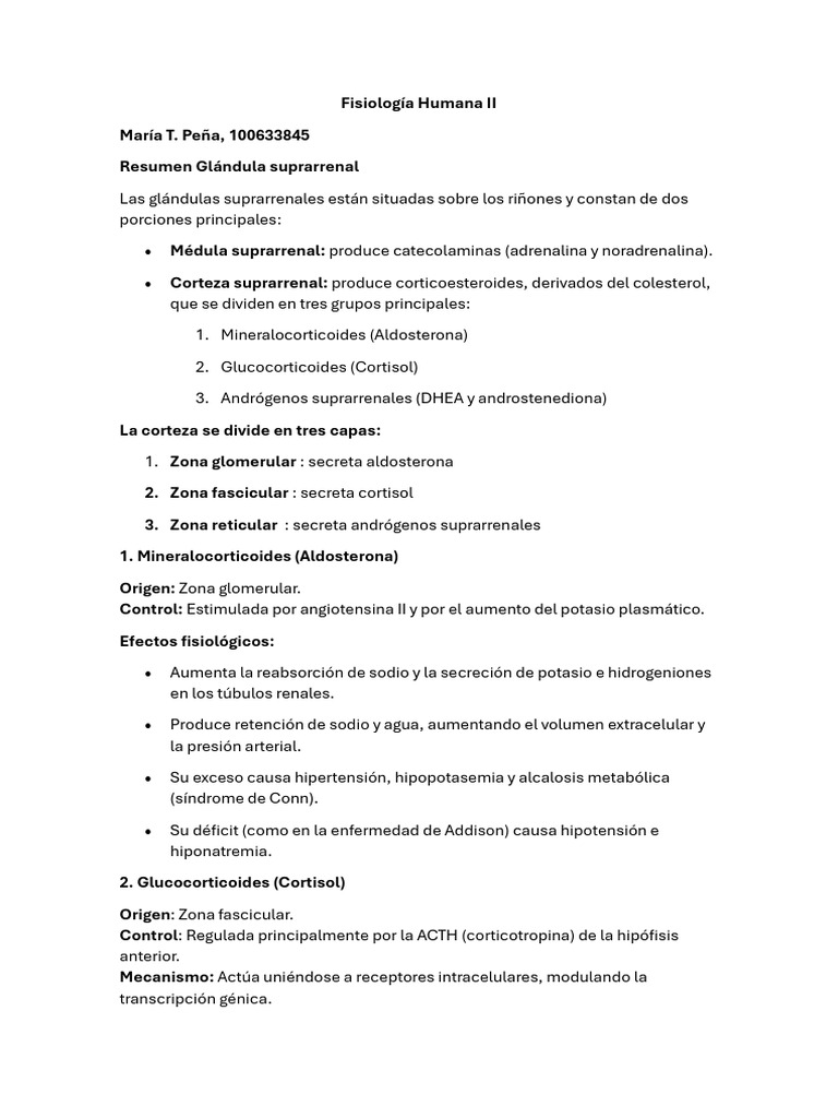 Fisiología Humana II 13 | PDF | Glándula suprarrenal | Glucocorticoides