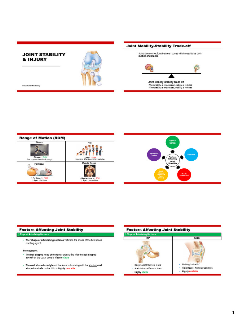 Lecture 5.1 - Joint Stability & Injury | PDF | Knee | Bone