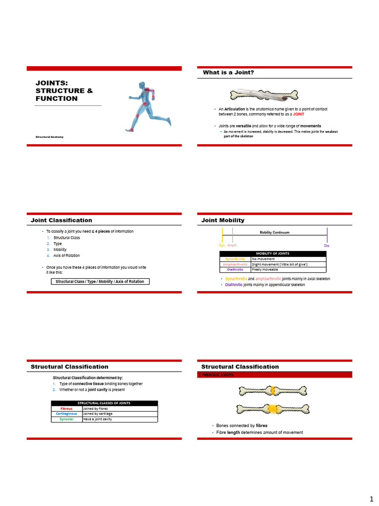 Lecture 4 - Joint Classification & Function | PDF | Joint | Anatomical ...