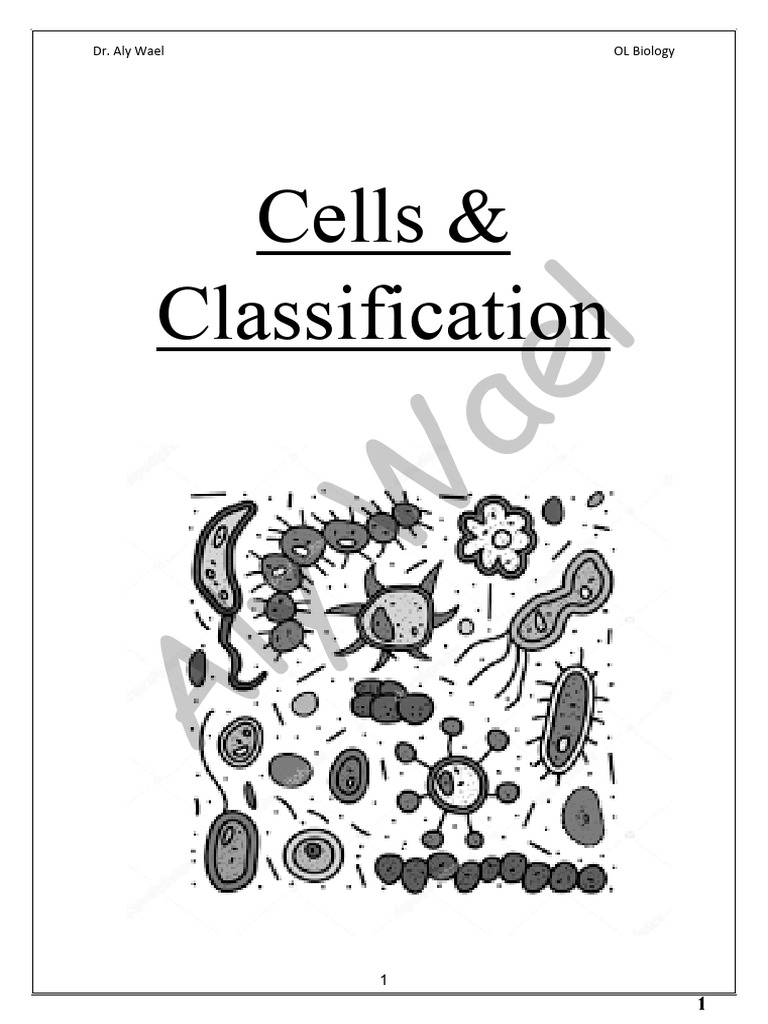 1 Cells and Classification MS | PDF | Cell (Biology) | Biological Membrane