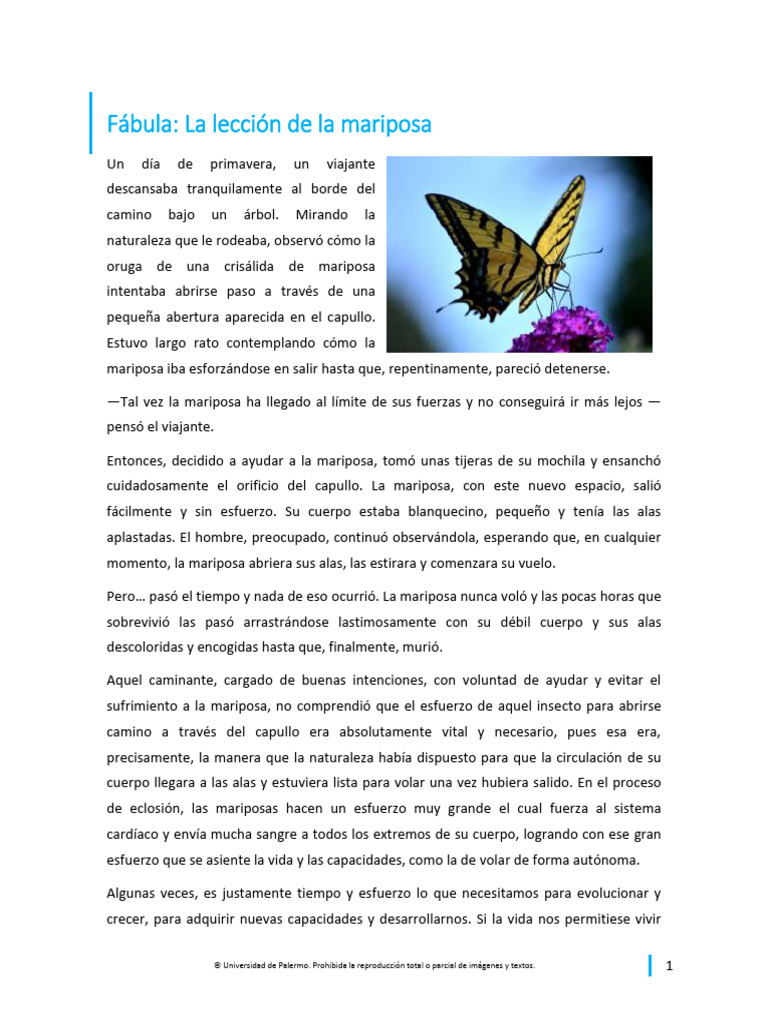 Fabula La Lección De La Mariposa Pdf Lepidópteros Crisálida