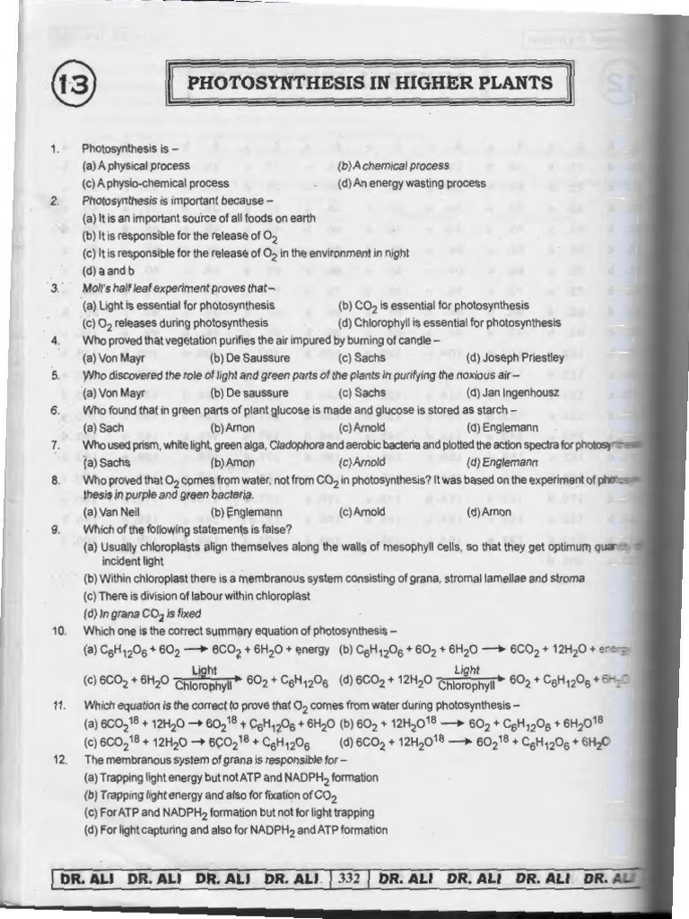 Understanding Photosynthesis in Plants | PDF | Photosynthesis | Chloroplast