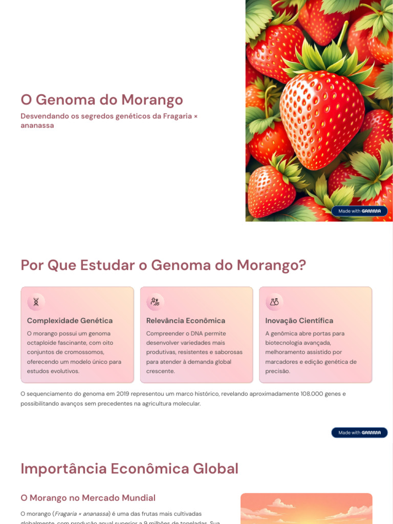 O Genoma Do Morango | PDF | Agricultura | Genoma