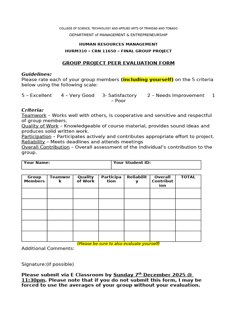 Hurm310 - Group Project - Peer Evaluation Form | PDF