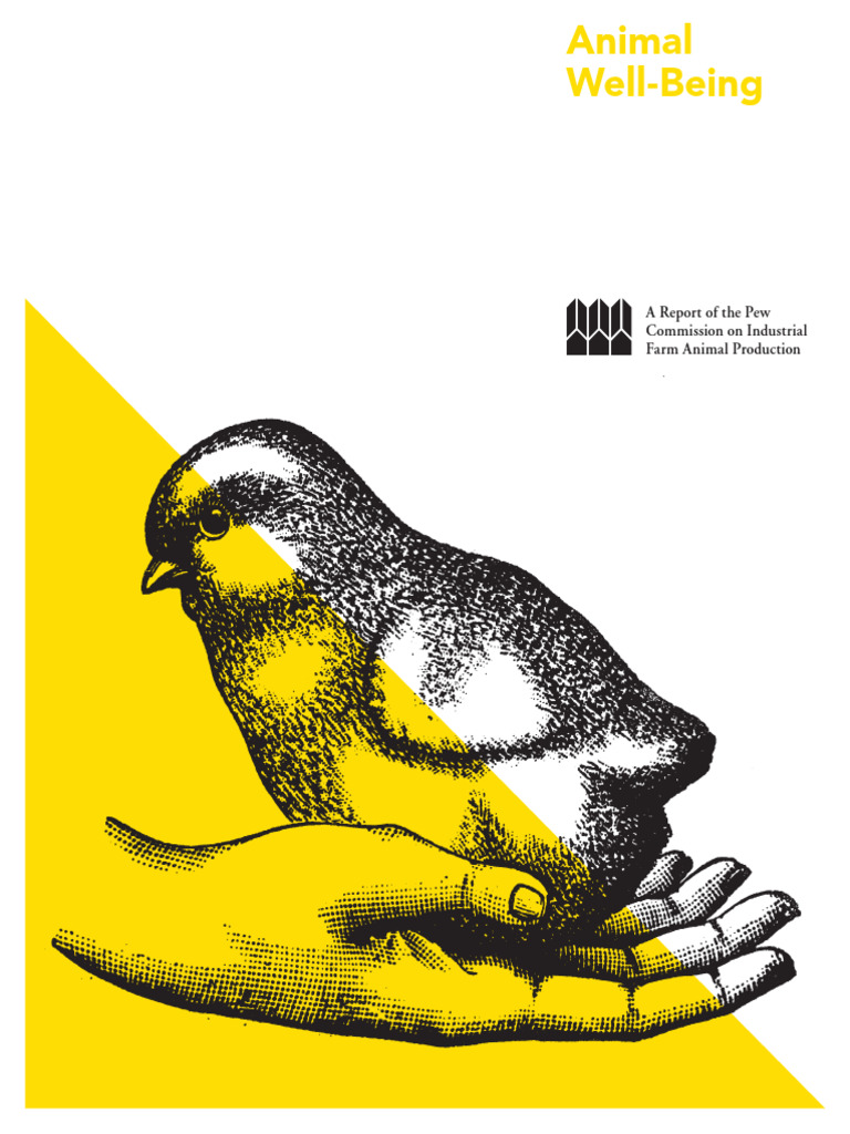 Animal Well Being | PDF | Animal Welfare | Livestock