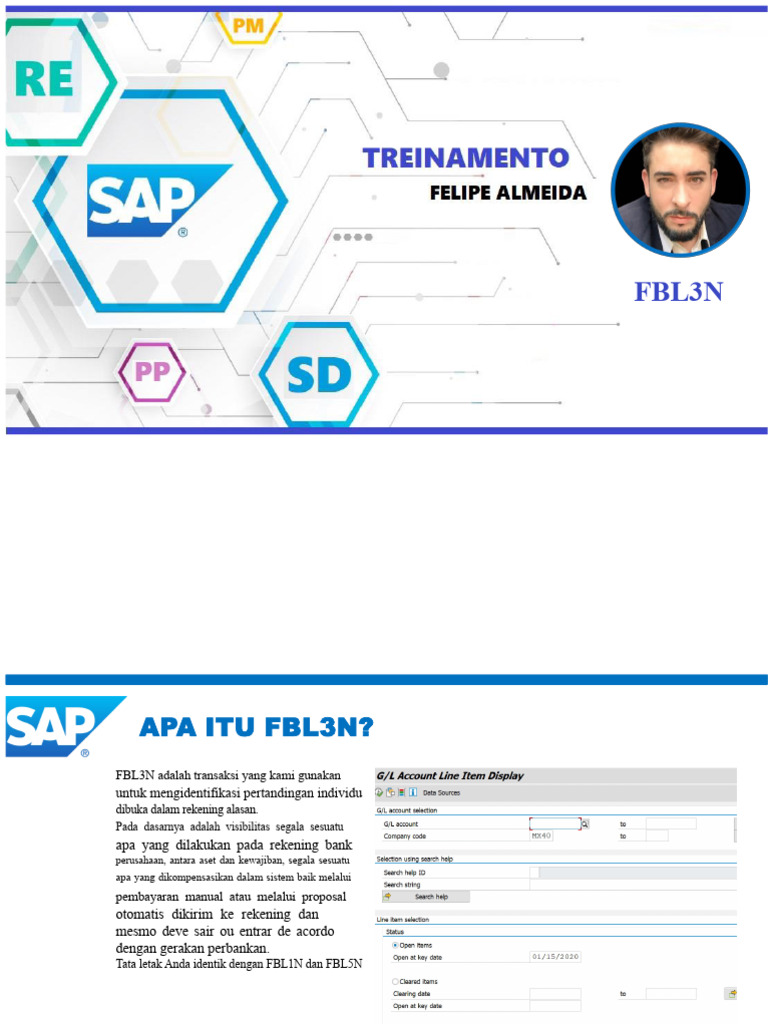 Panduan Lengkap Transaksi FBL3N SAP | PDF
