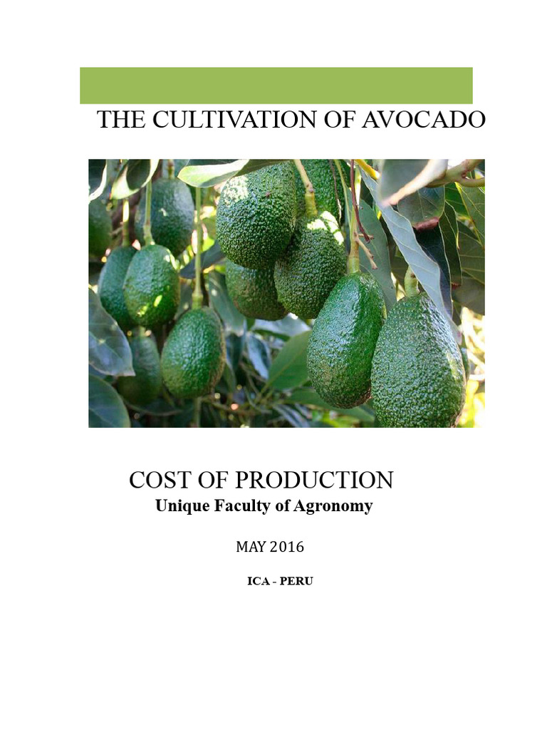 Avocado Cultivation Cost Analysis | PDF | Avocado | Soil