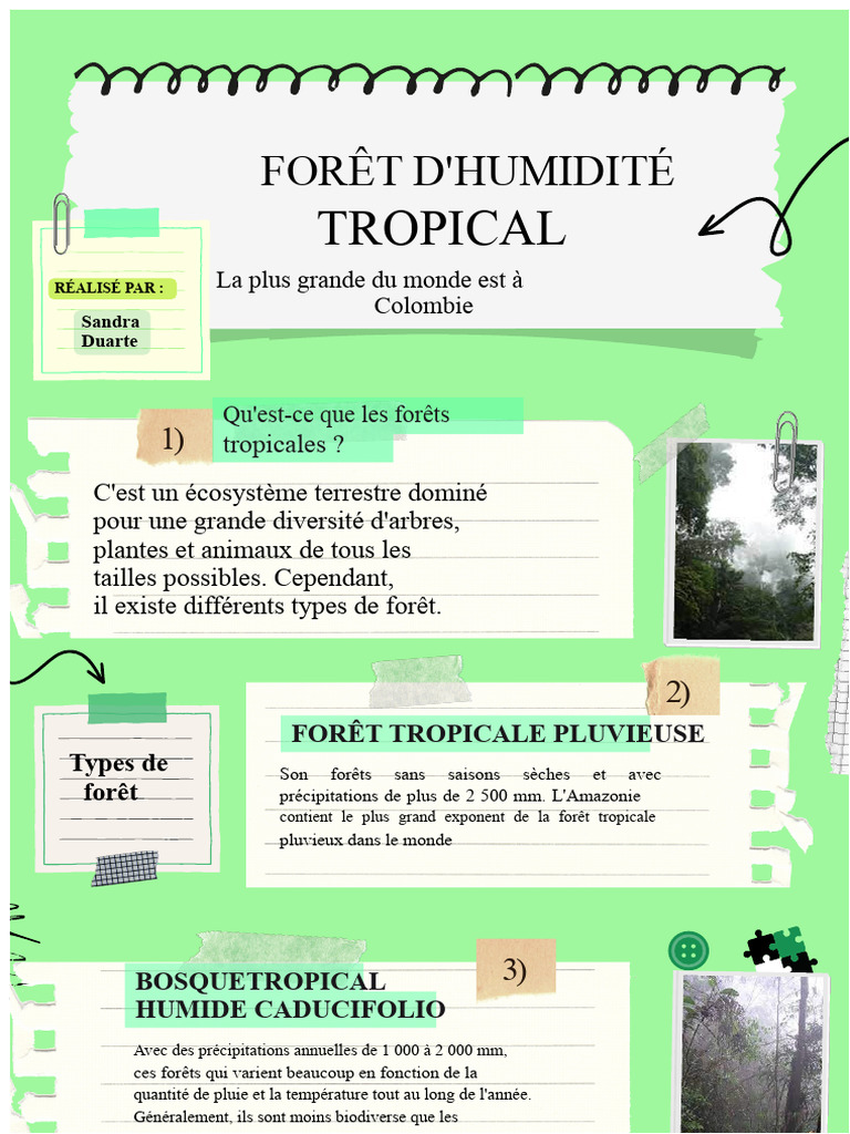 Infographie Forêt Tropicale Humide | PDF