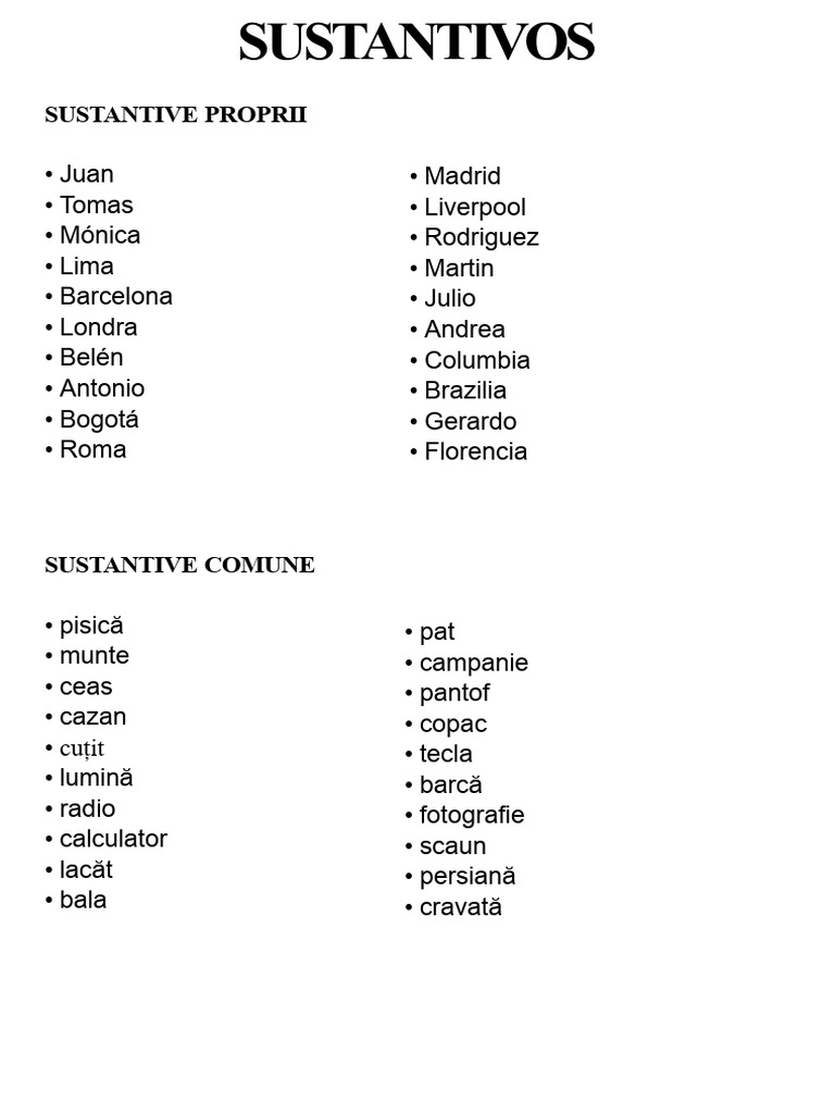 Activitate Substantive | PDF