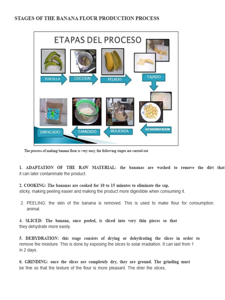 Stages of The Banana Flour Production Process | PDF