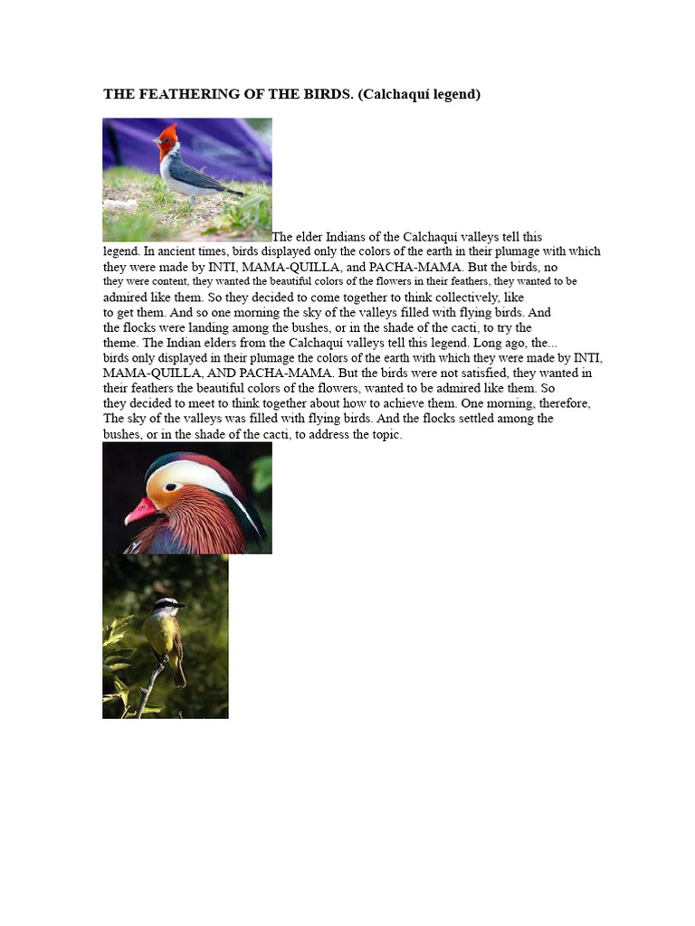 Legends Birds | PDF | Birds | Feather