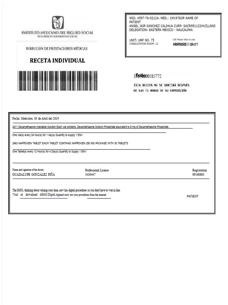 IMSS Editable Recipe PDF | PDF