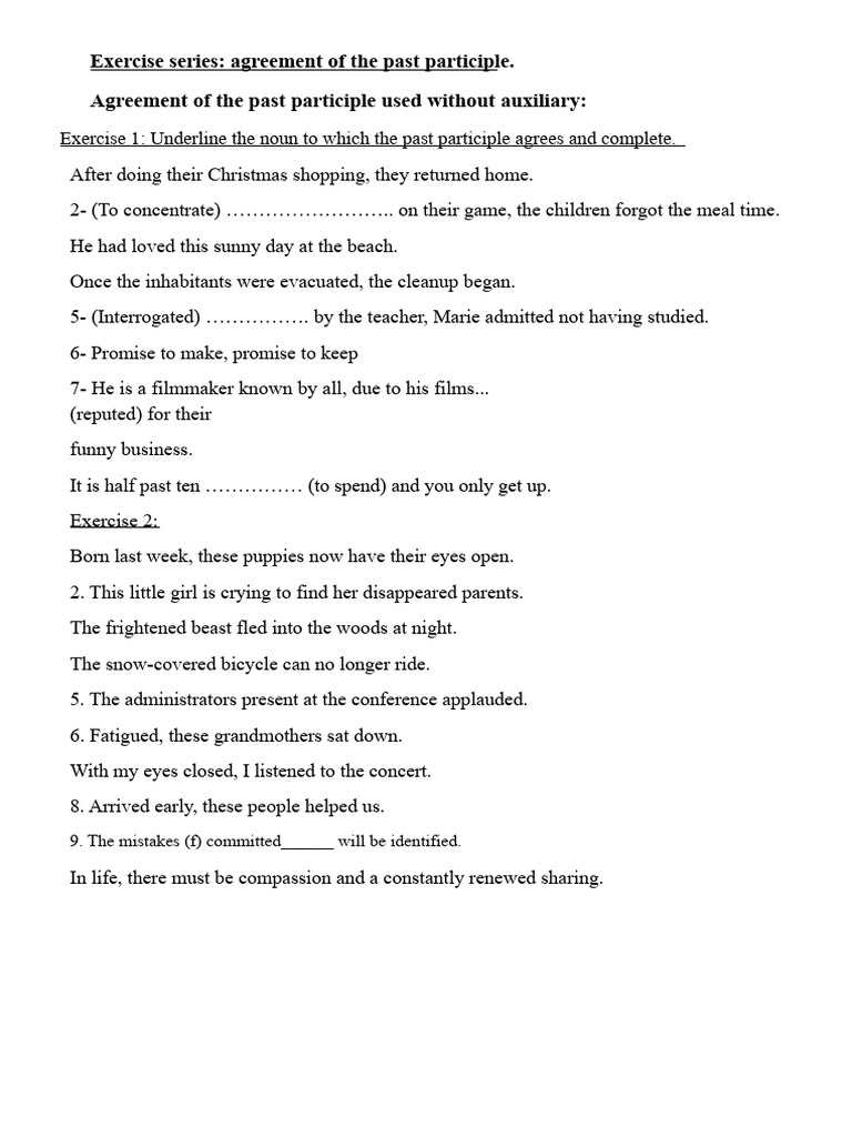 Corrected Series Agreement of The Past Participle | PDF