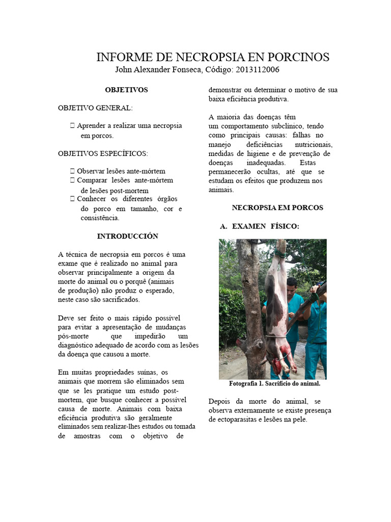 Necropsia em Porcos: Guia Prático | PDF | Autópsia | Morte