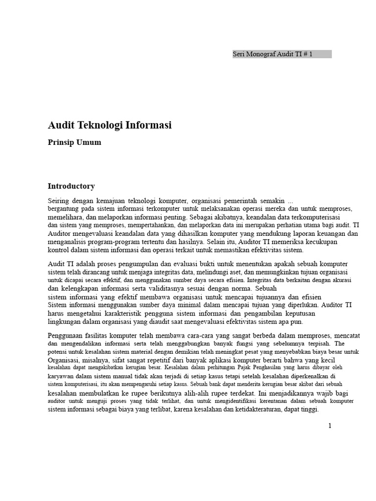 Audit TI | PDF