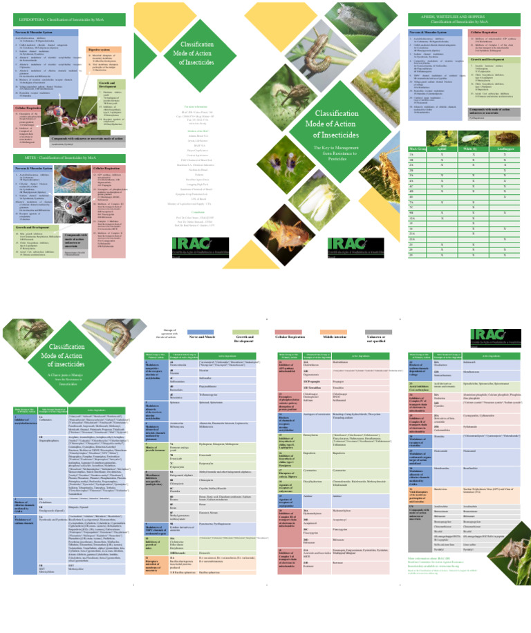 Classification Mode of Action of Insecticides | PDF | Insecticide ...