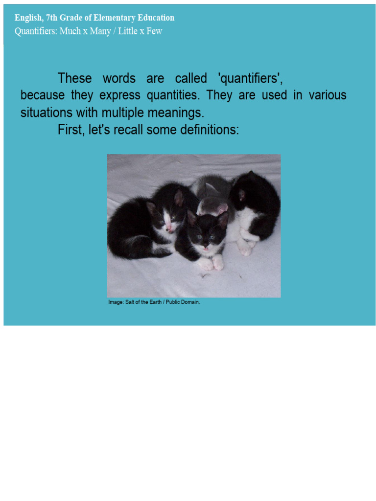 7th year quantifiers | PDF | Plural | Noun