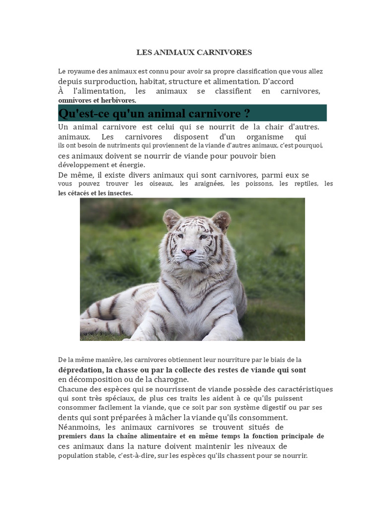 Comprendre les animaux carnivores | PDF | Tractus gastro-intestinal ...
