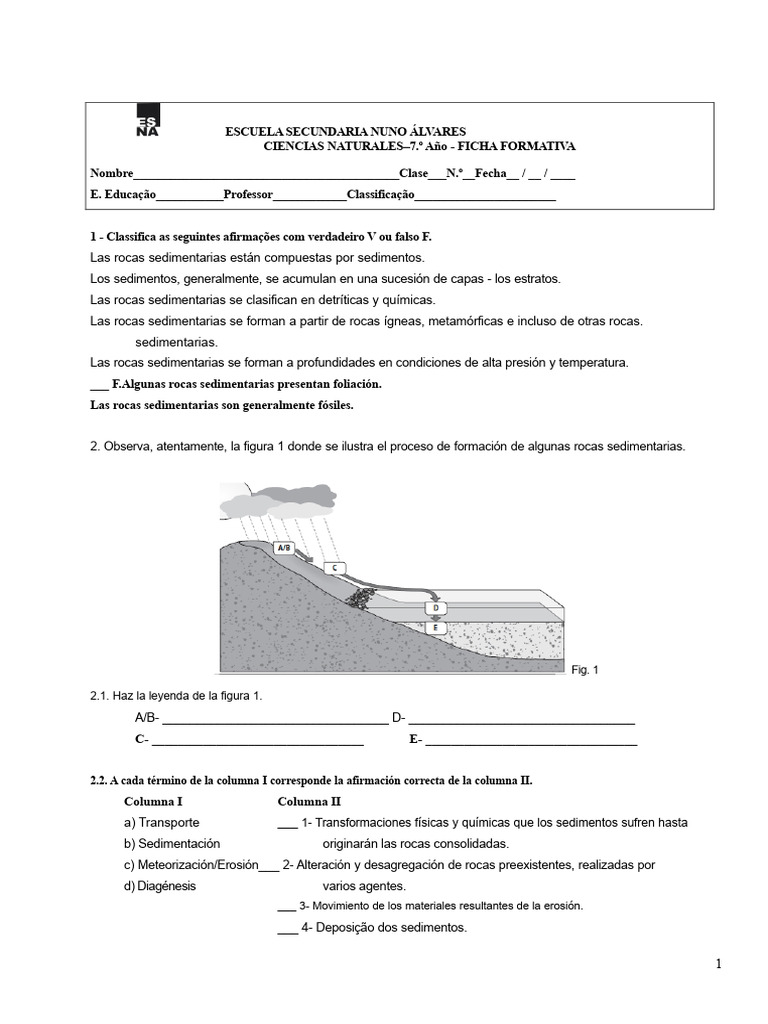 CN7C Formativa Rocas Sedimentarias | PDF | Roca (geología) | Roca ...