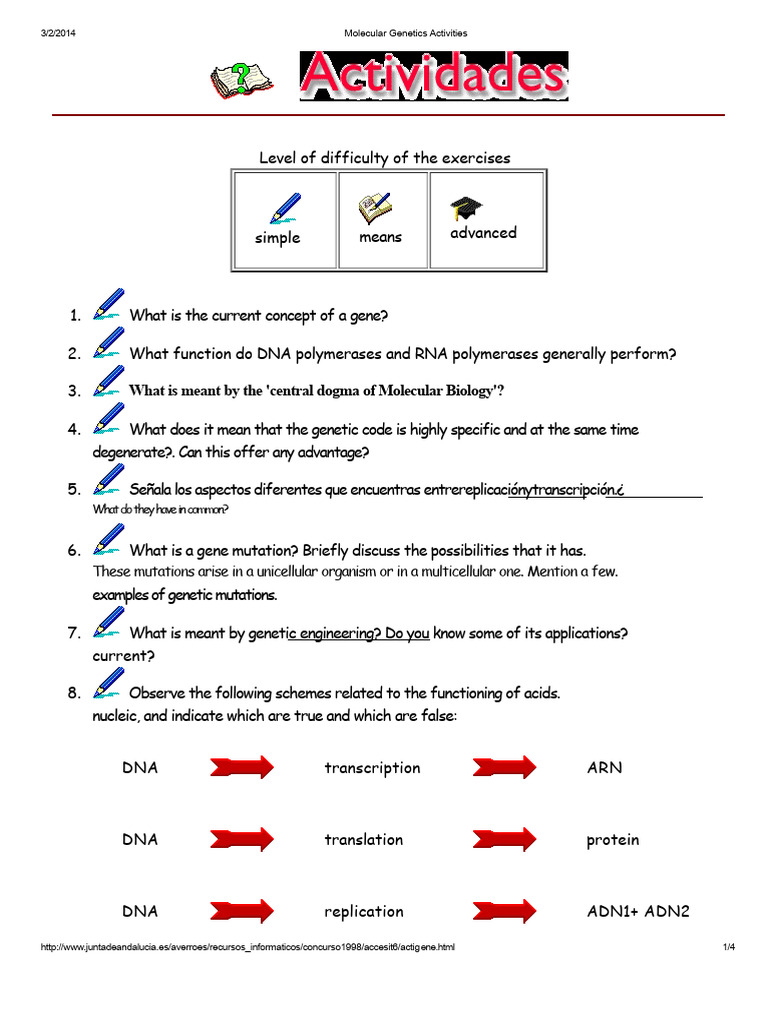 Molecular Genetics Activities | PDF | Nucleic Acid Sequence | Dna
