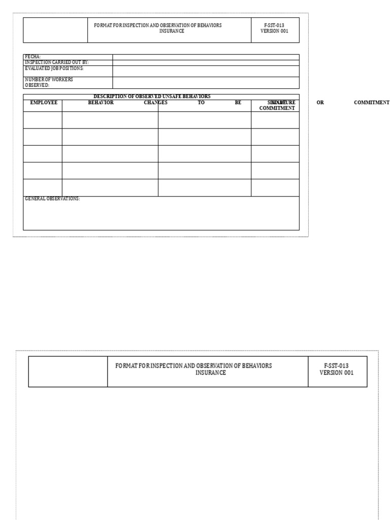 Behavior Observation Inspection Format | PDF