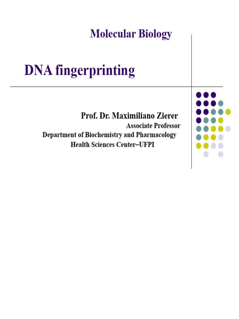 Lesson 8 - DNA Fingerprinting - RFLP and RAPD | PDF | Dna Profiling | Biological Engineering