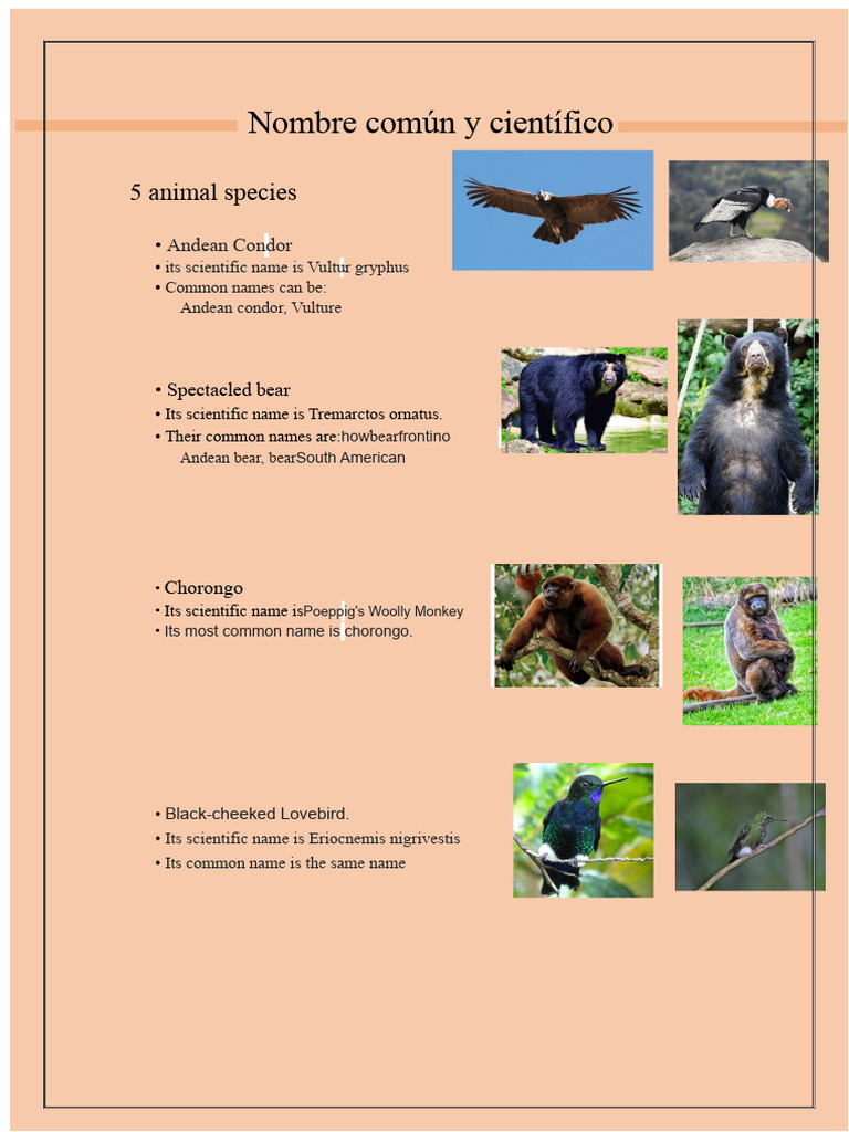 Common and Scientific Names of Animals | PDF