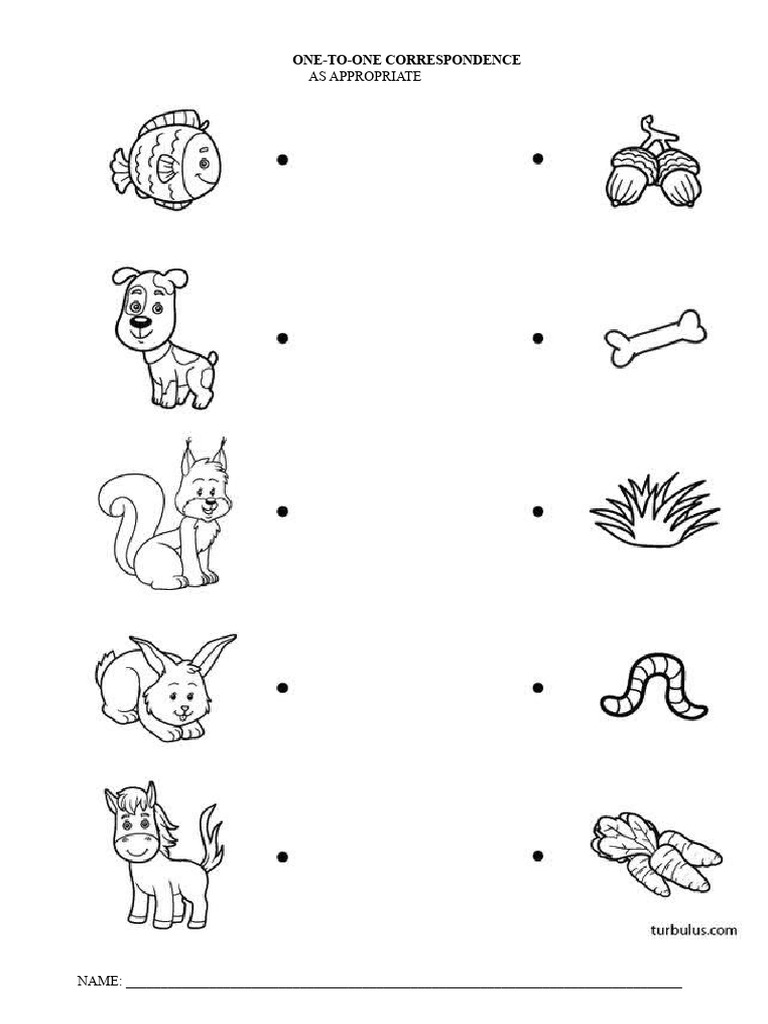 One To One Correspondence | PDF