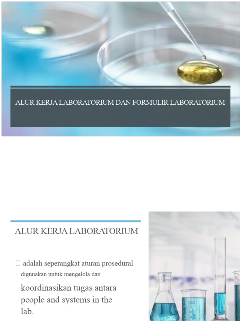 Alur Kerja dan Formulir Laboratorium | PDF