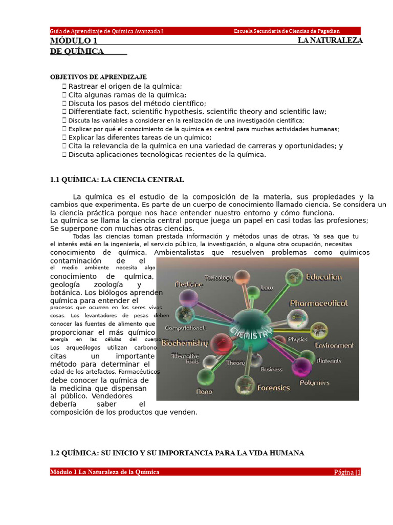 Módulo 1 - La Naturaleza de La Química | PDF | Química | Experimentar