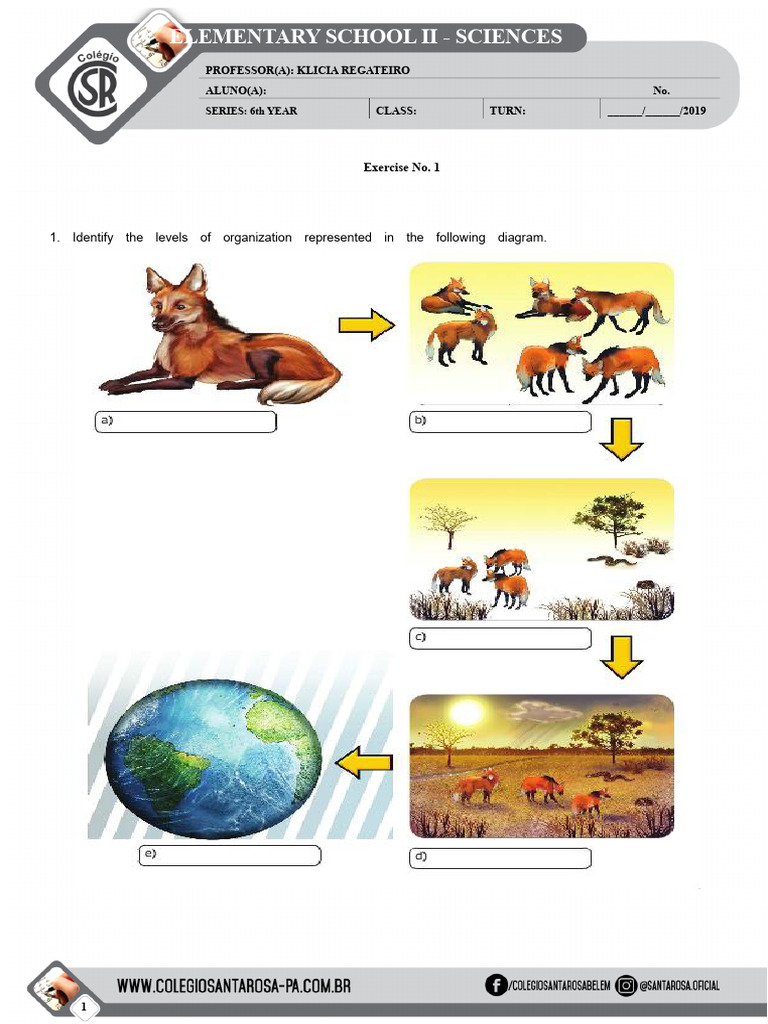 6th Grade Ecology Exercise 01 | PDF | Ecology | Ecosystem