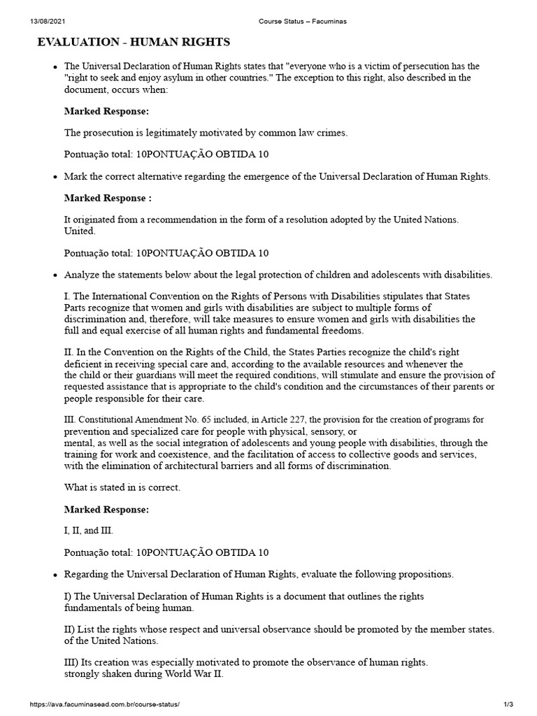 Facuminas - Human Rights Assessment | PDF | Human Rights | Rights