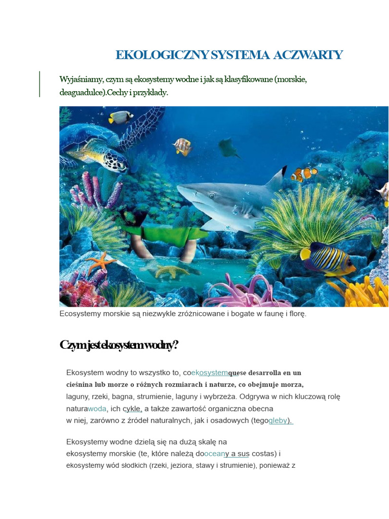 EKOSYSTEM WODNY pojęcie.docx | PDF