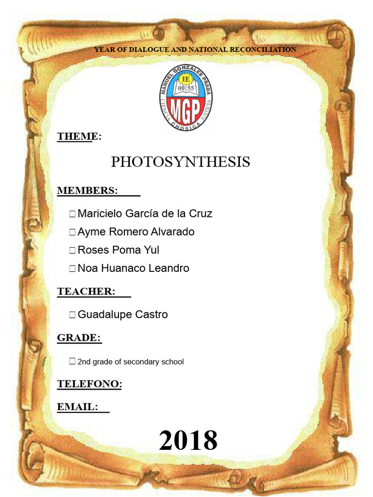 WORK PHOTOSYNTHESIS.docx | PDF | Photosynthesis | Stoma