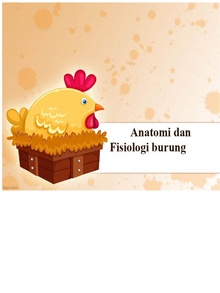 Anatomi dan Fisiologi Burung Lengkap | PDF