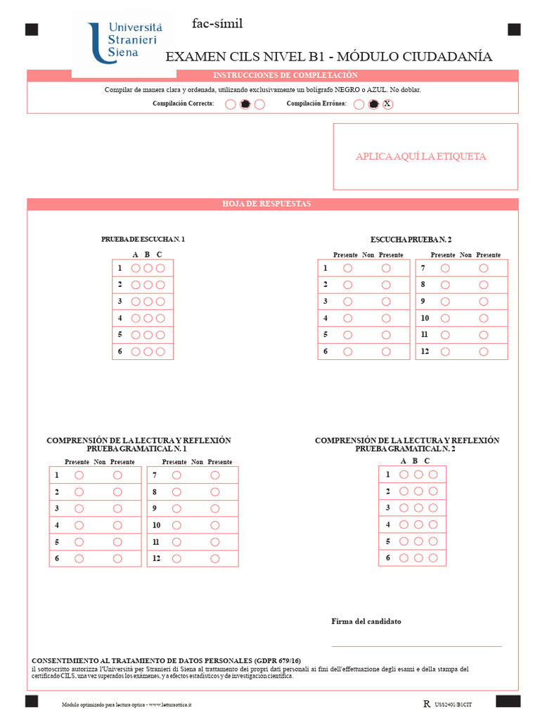 Examen CILS B1: Instrucciones y Formato | PDF