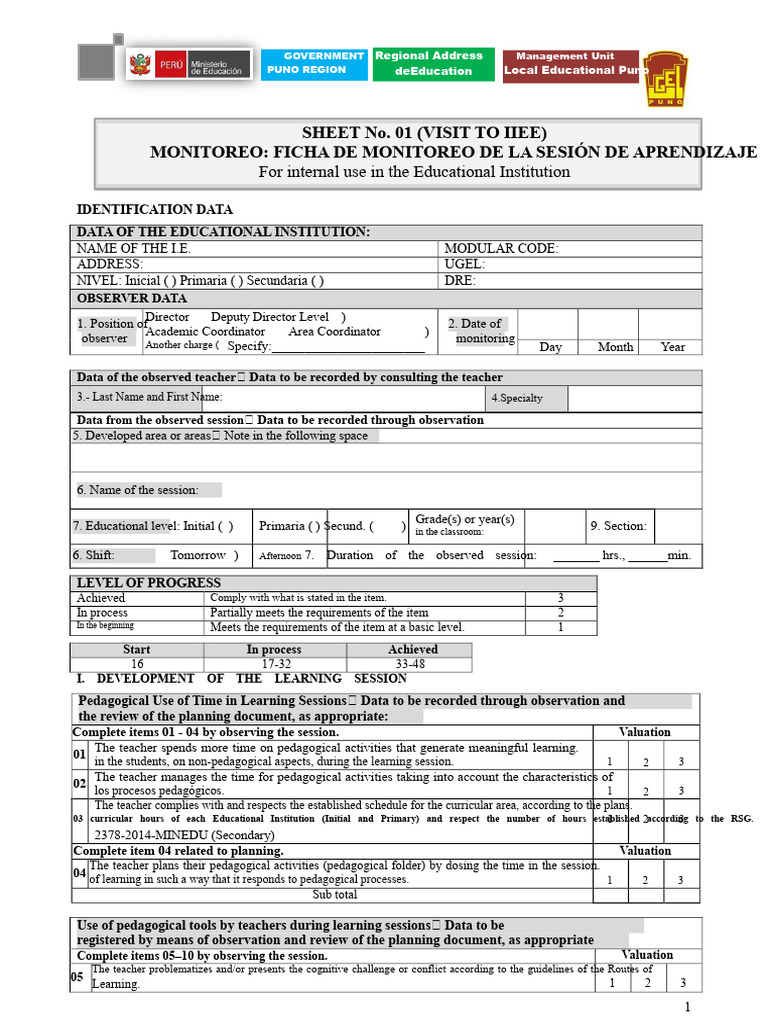 monitoring sheet ugel puno.pdf | PDF | Teachers | Curriculum