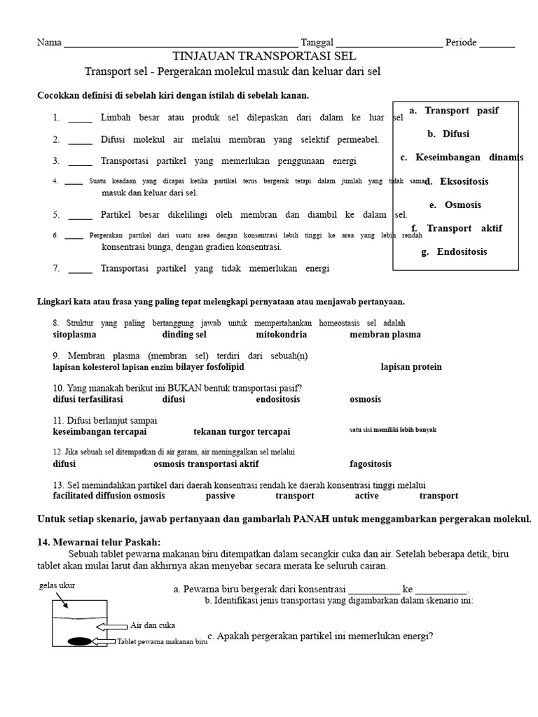 Lembar Kerja Transport Sel | PDF
