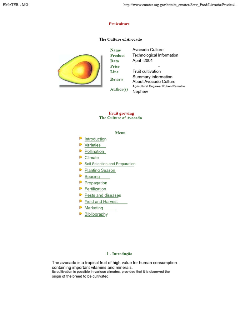 Avocado - Culture | PDF | Avocado | Grafting