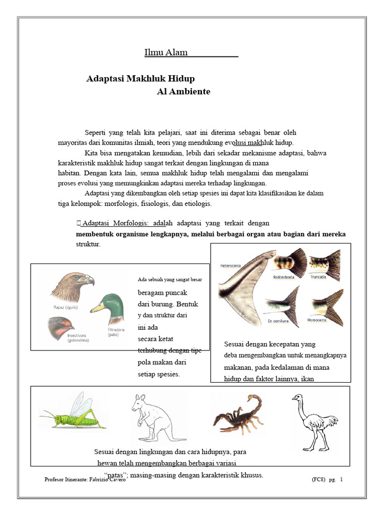Adaptasi Makhluk Hidup | PDF