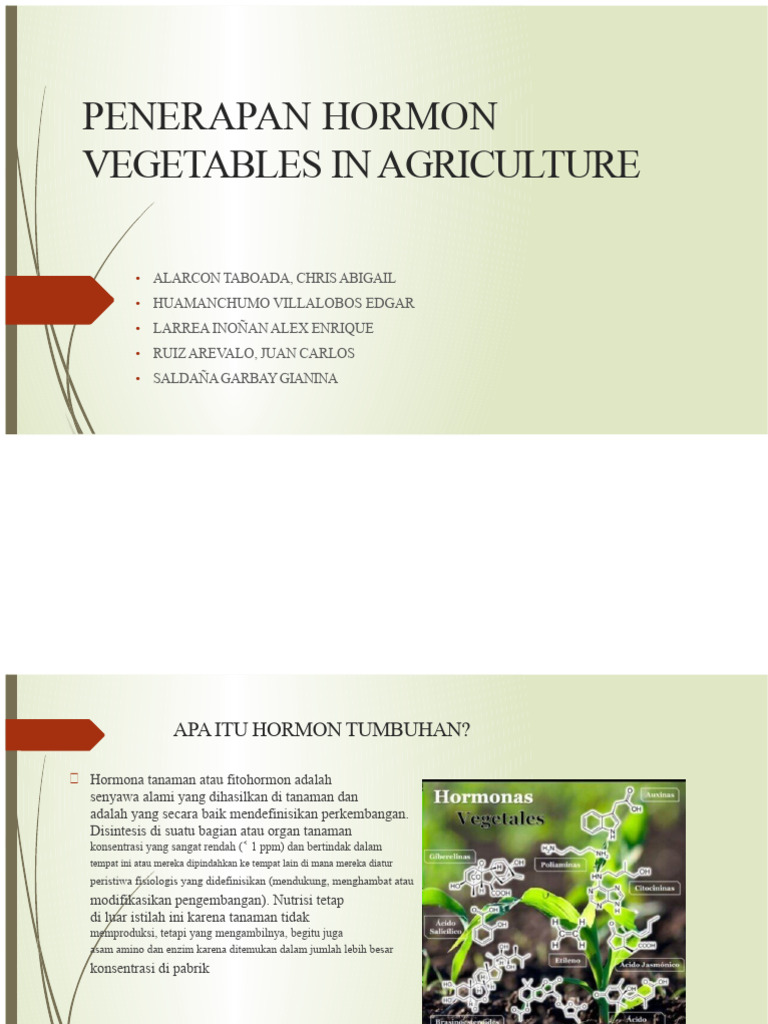Penerapan Hormon Vegetal Dalam Pertanian | PDF