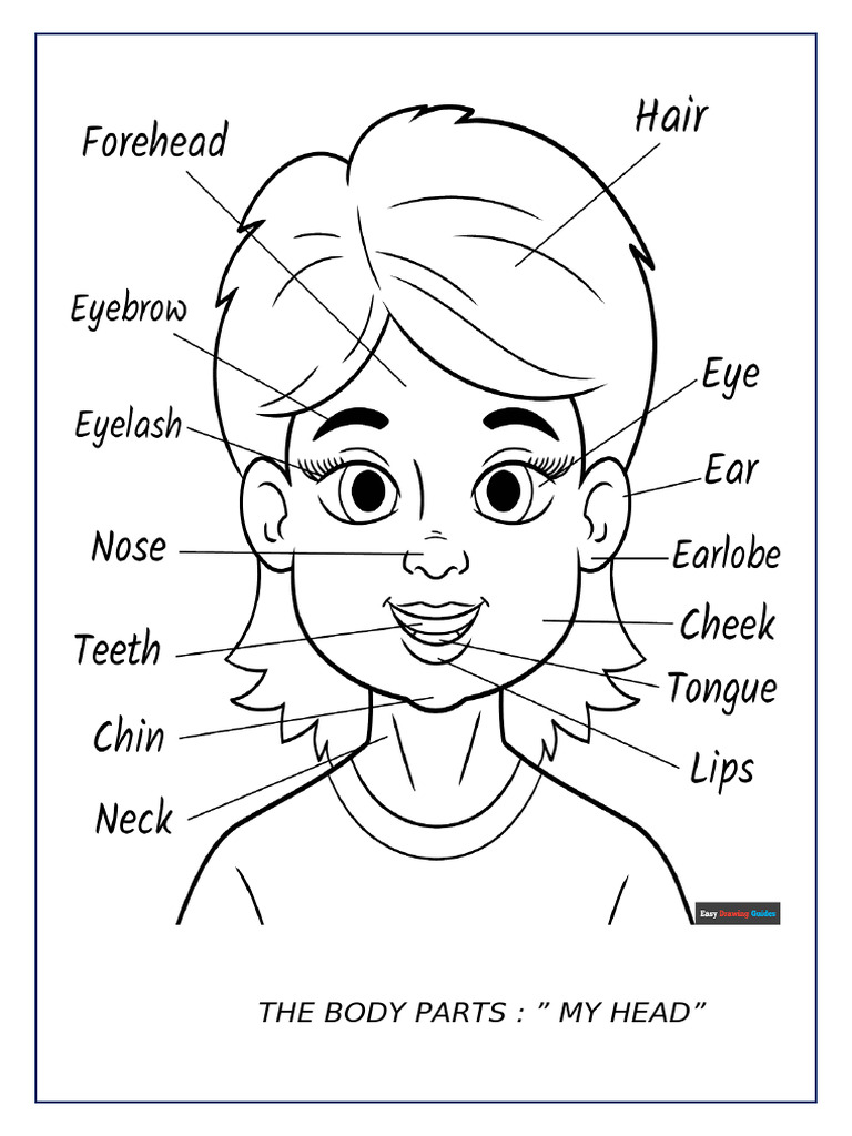 Body Parts My Head | PDF