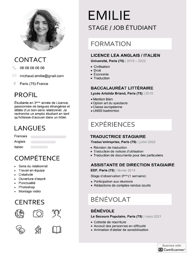C'est Un Joli CV Avec Plaisir Type Acceptables Partout | PDF