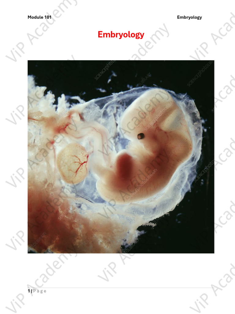 Mcq Embryology 90020 | PDF | Reproduction | Developmental Biology