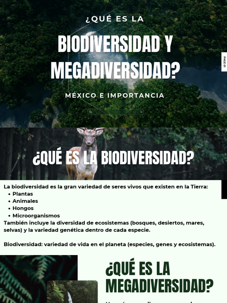 Biodiversidad y Megadiversidad en Mexico | PDF | Biodiversidad | Ecosistema