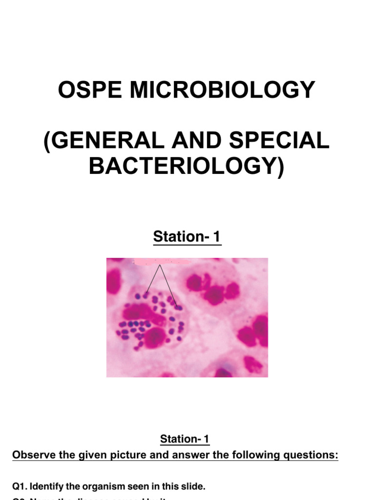 2021 Review Ospe Microbiology Bacteriology | PDF