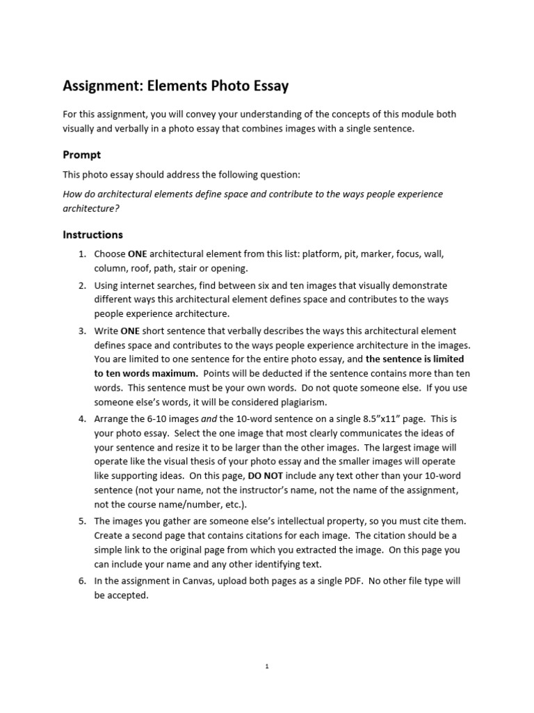 1-Elements Photo Essay | PDF | Essays | Human Communication